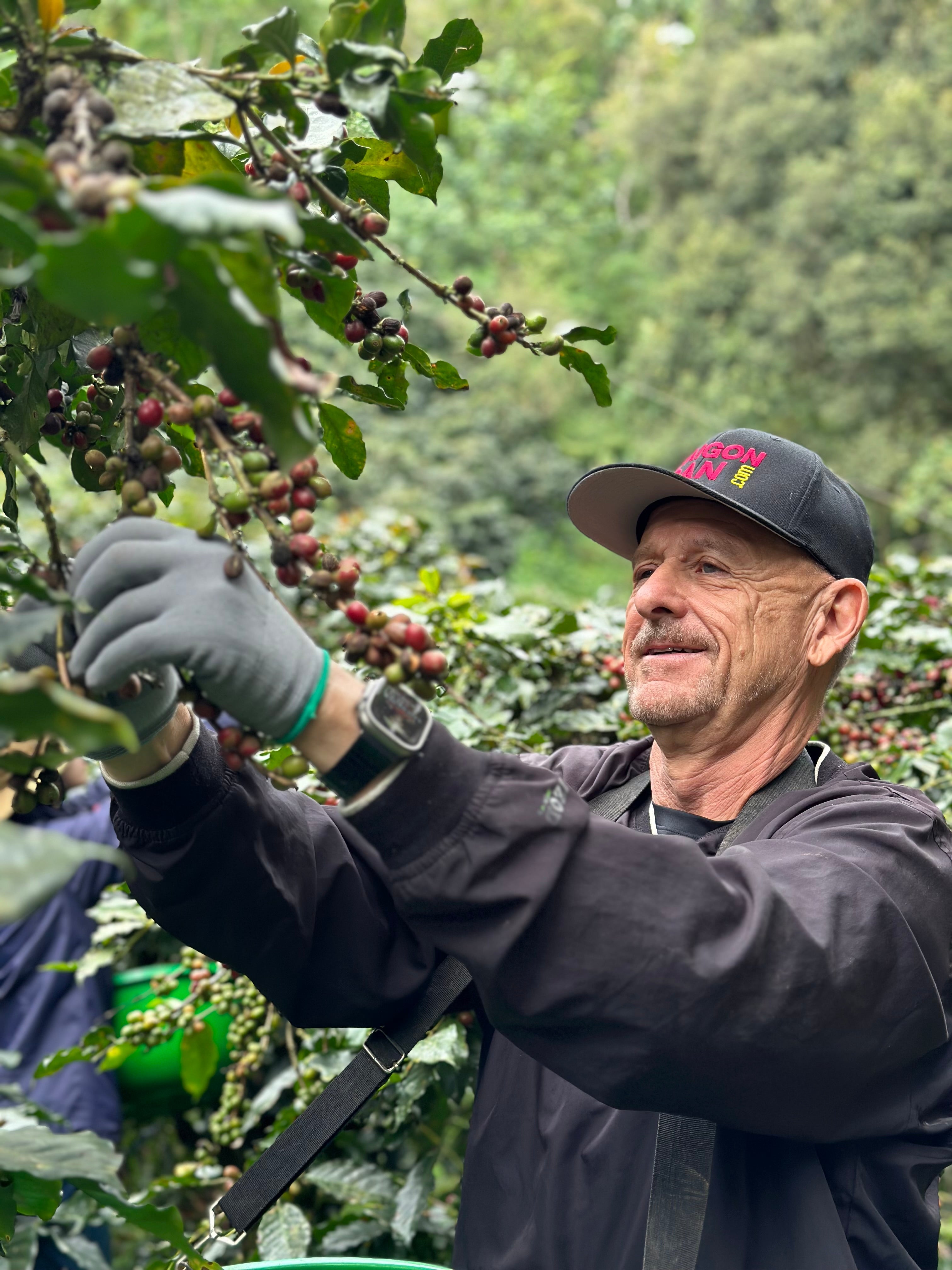 How Much Coffee Is There In Coffee Tree – SAIGONDAN